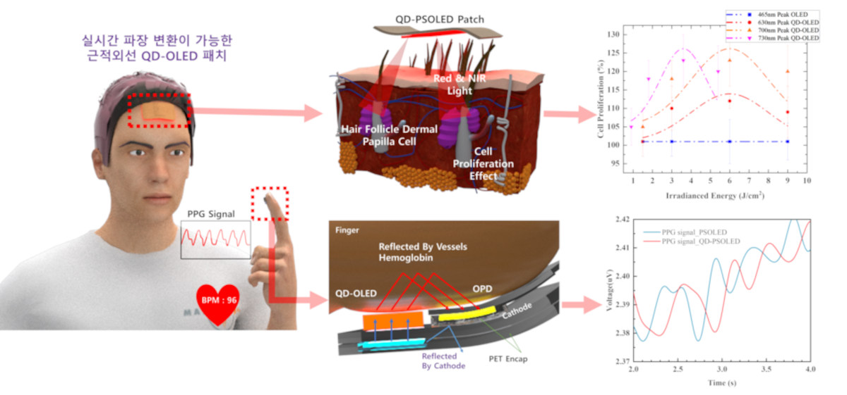QD-OLED displays | OLED-Info