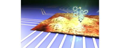 Researchers develop the world's most efficient single-layer PHOLED ...