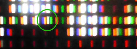 LG's WRGB OLED TV sub pixels captured in a macro photo | OLED-Info