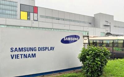 Samsung Display to invest $1.8 billion in a new OLED module production ...